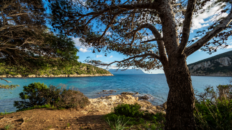 Cala Moresca: foto, come arrivare e hotel nei dintorni - Sardiniabella