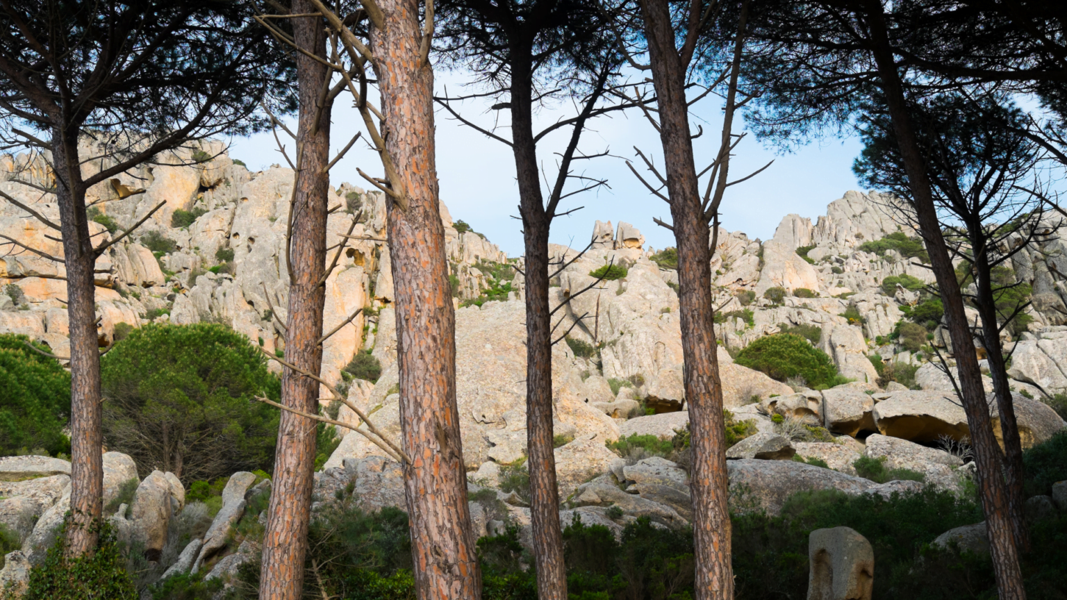 Caprera Island, Sardinia: 8 Best Beaches And 11 Things To Do ...