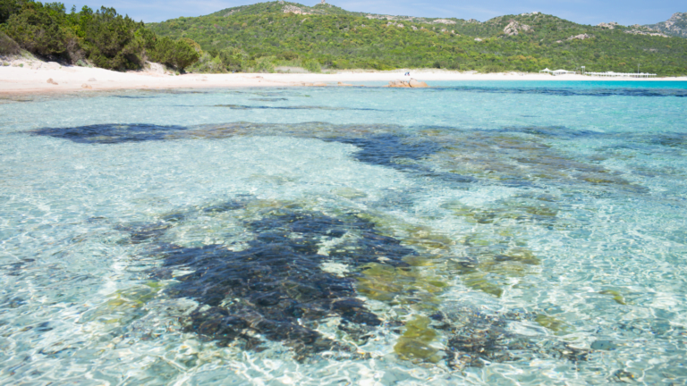 Spiaggia di Liscia Ruja: foto, come arrivare e hotel nelle vicinanze ...