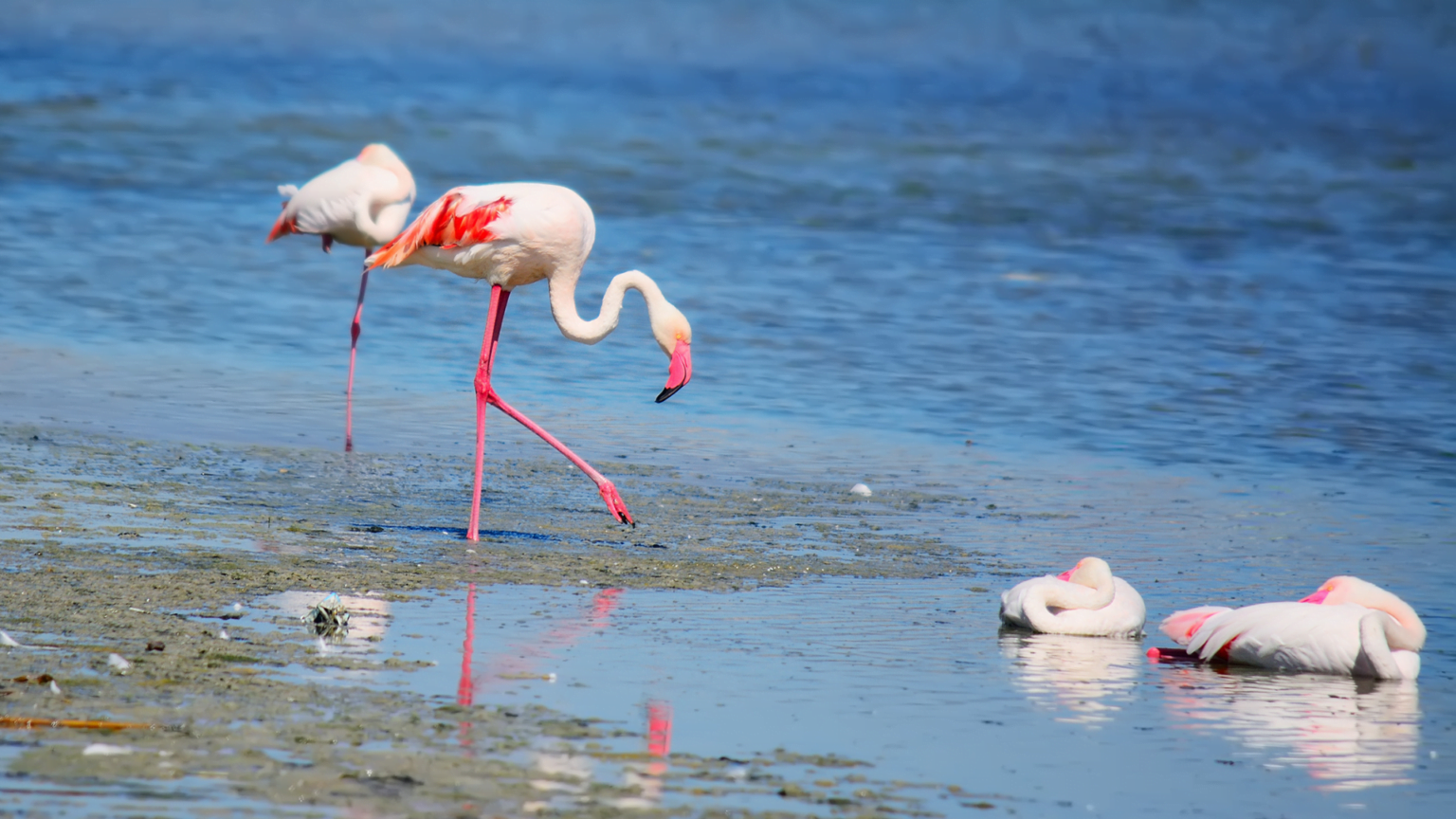 17 National Parks and Nature Reserves to Explore in Sardinia ...