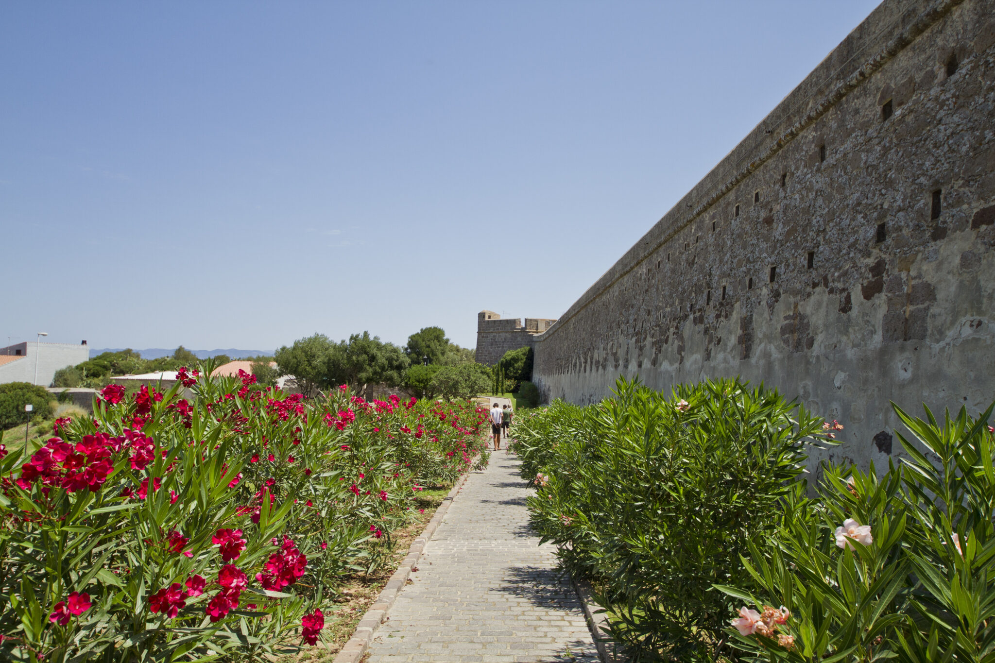 Guide to Carloforte: 15 Things to See and Do - Sardiniabella
